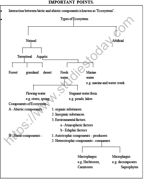 Neet Biology Ecosystem Mcqs Set A With Answers